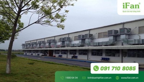 Báo giá máy làm mát công nghiệp FAD-50 (Mới nhất) - IFAN