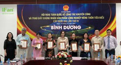 iFan Group - Công Ty Cổ Phần Quạt Việt Nam